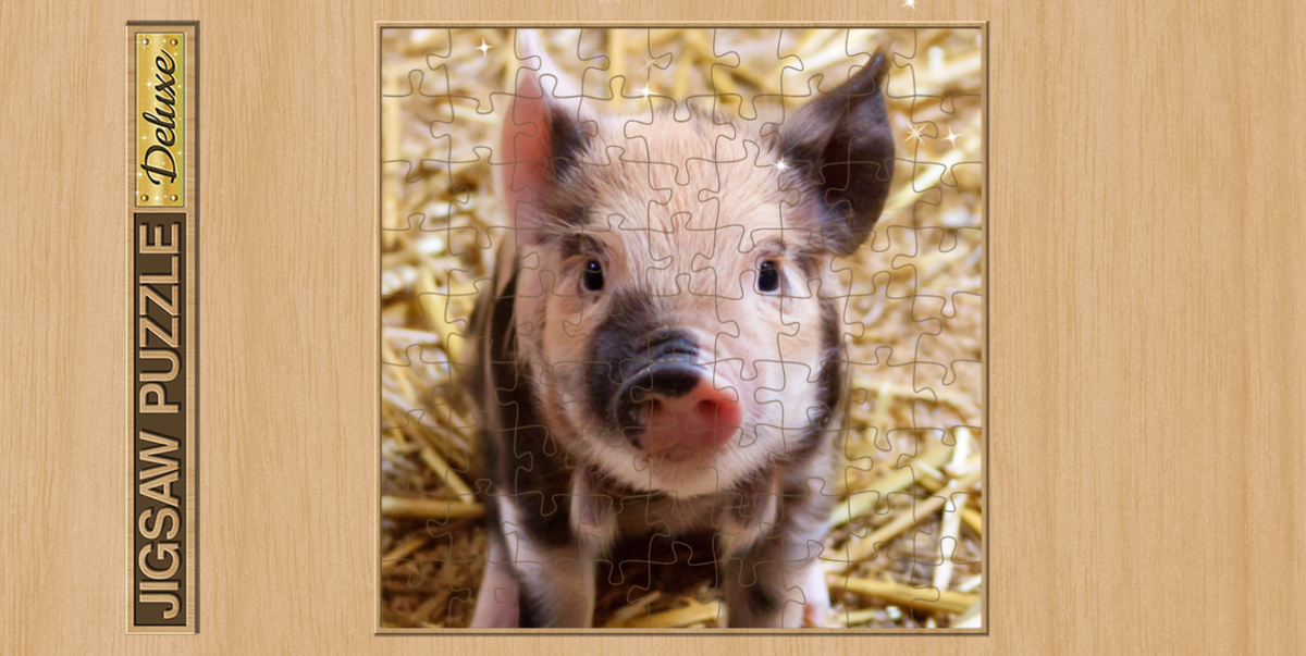 Jigsaw Puzzle Deluxe kostenlos spielen bei RTLspiele.de